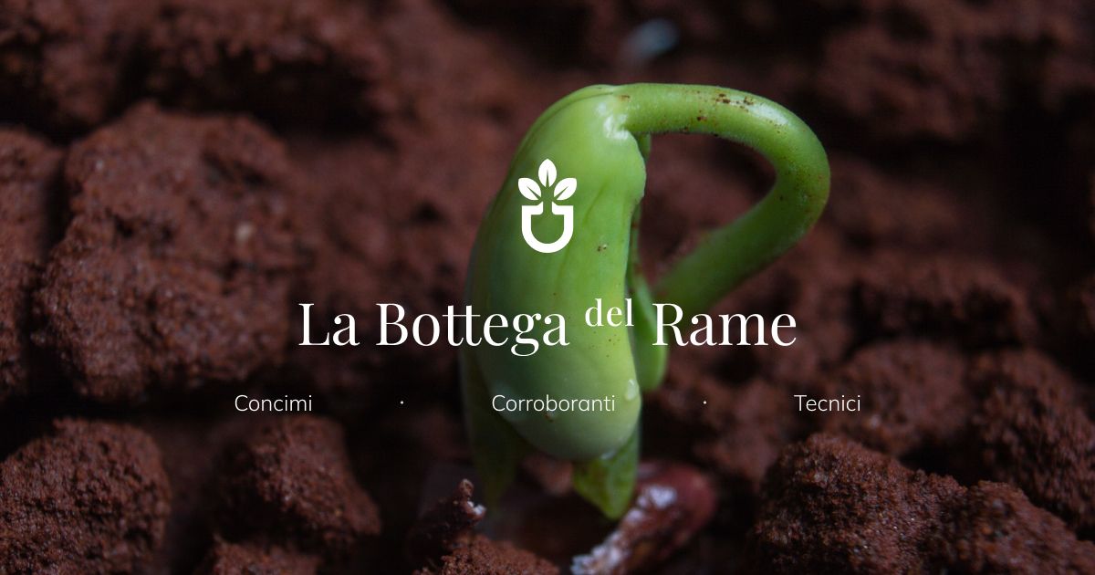 La Bottega del Rame | Concimi | Corroboranti | Tecnici